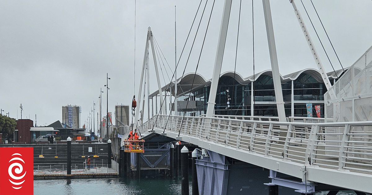 Businesses welcome foot traffic after Wynyard Crossing Bridge re ...