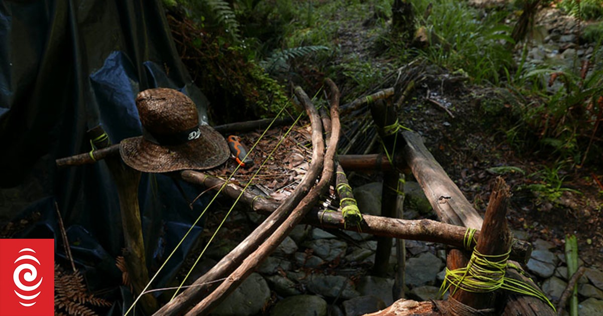 Roving archery - a new fun sport to try | RNZ
