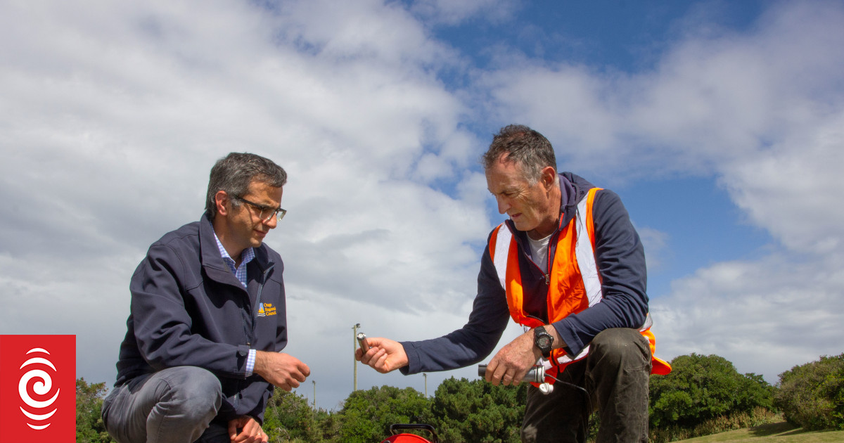 South Dunedin not as prone to sea level rise as feared, research shows ...