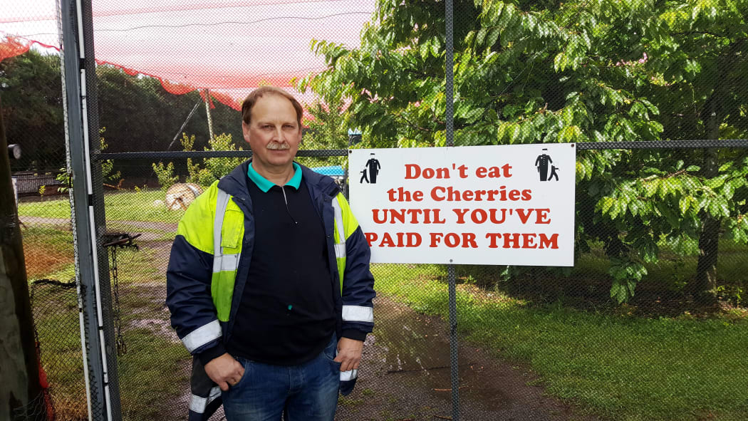 Warm winters delay cherry season | RNZ