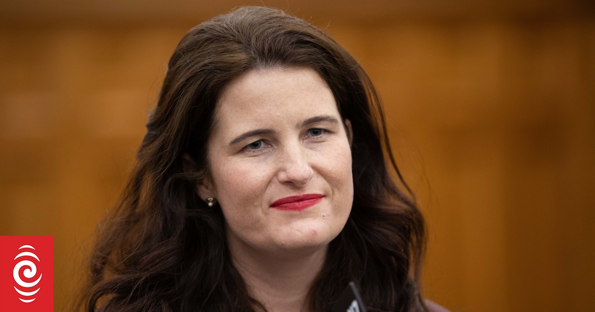 Willis: supports a code of conduct for lobbyists | RNZ