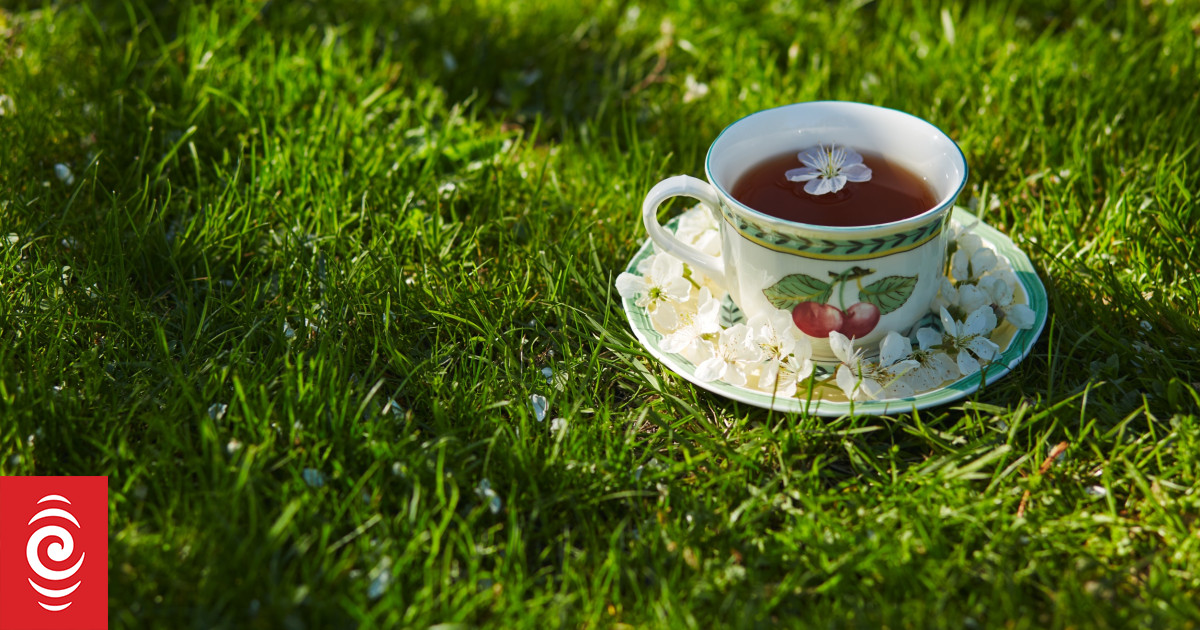 The Panel with Georgie Stylianou and David Slack (Part One) | RNZ