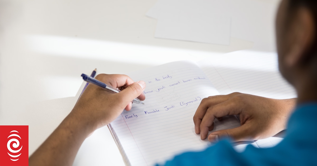 Students left in 'a fluster' over options after failing NCEA tests ...