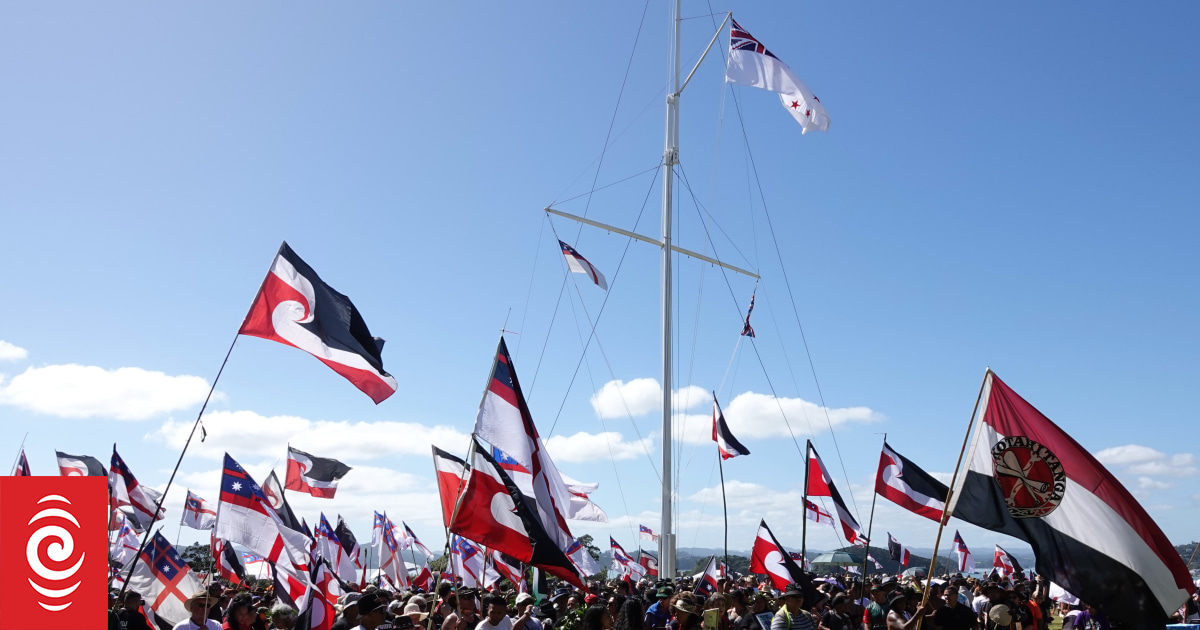 Treaty Principles Bill hīkoi from Far North to Parliament about Māori ...