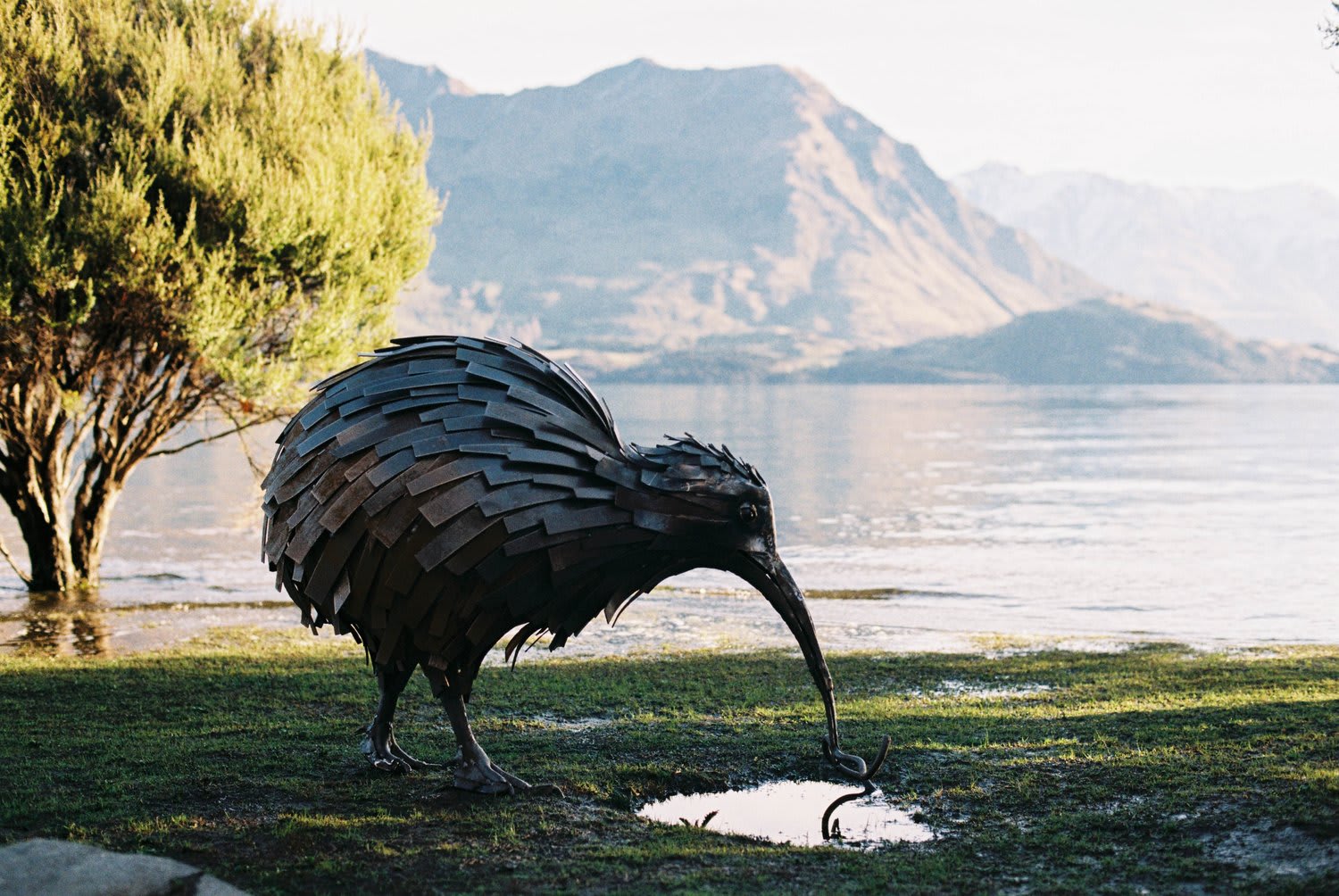 That's metal: Nicolas Lupacchino captures NZ wildlife in Sculpture | RNZ