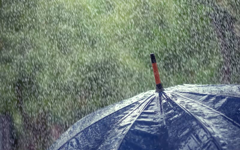Rain welcome, but no relief to dry conditions | RNZ