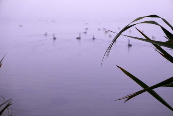 Hidden lakes | A Gallery from Nine To Noon | RNZ National