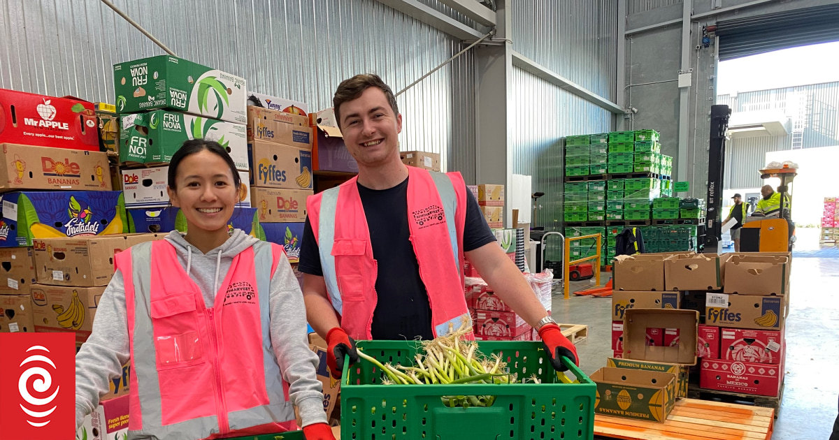 Kiwi Harvest to work with MPI to ensure safety of food salvaged from ...