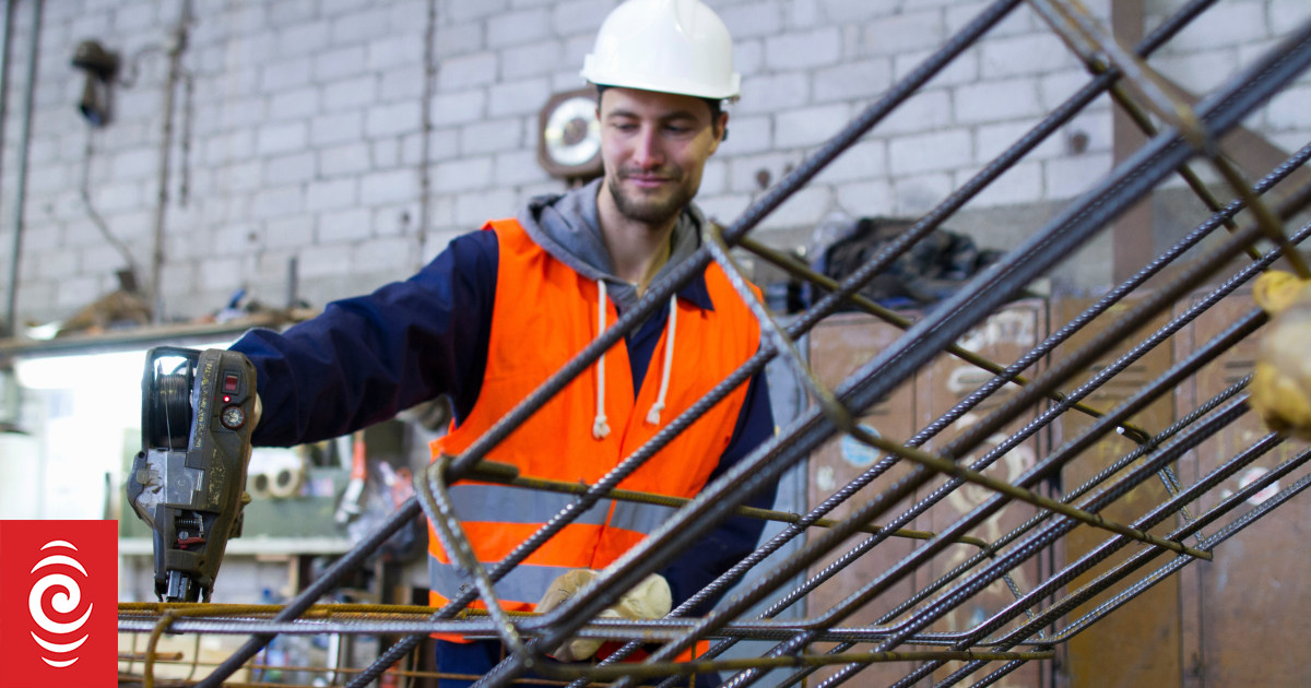 Steel mesh checks for commercial buildings | RNZ News