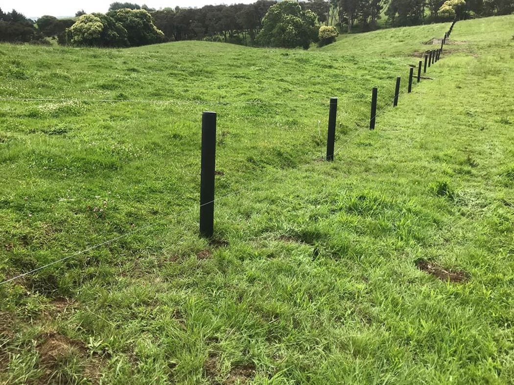 How disposable face masks are being turned into farm fence posts | RNZ
