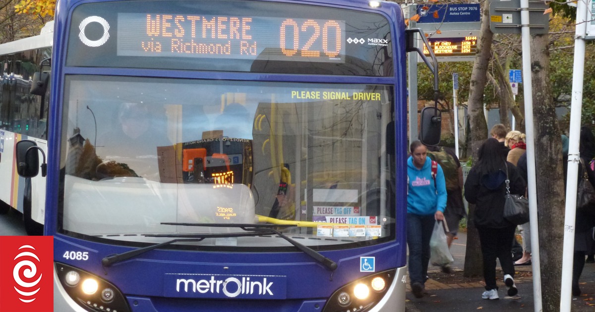 Auckland bus drivers take industrial action | RNZ News
