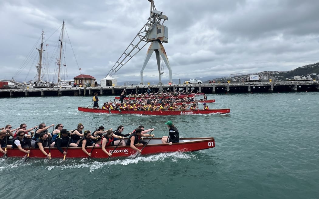 Dragon Boats festival churns up the capital's harbour | RNZ News