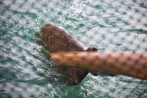 Aboard the waka hourua Haunui | A Gallery from News | RNZ