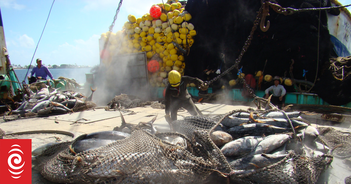 PNA countries set fishing days through to 2018 | RNZ News