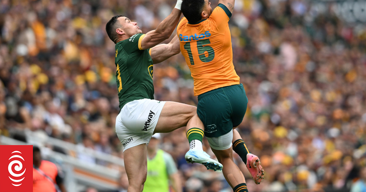 Rugby Championship recap: Wallabies v Springboks | RNZ News