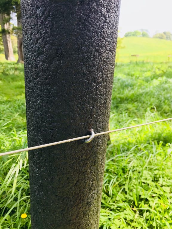 The Waiuku company making fence posts from used plastic | RNZ