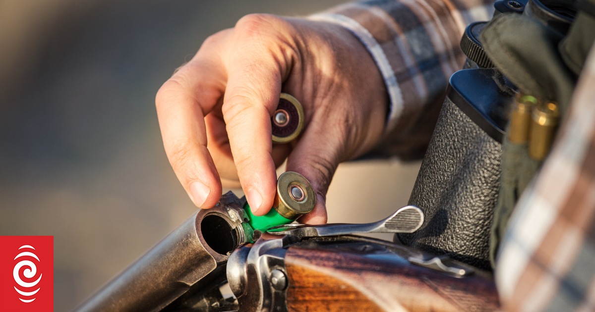 Please empty guns before repairs - police | RNZ News