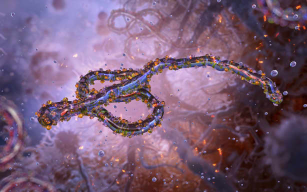 US funding cuts hamper response to deadly Ebola crisis, aid workers say ...