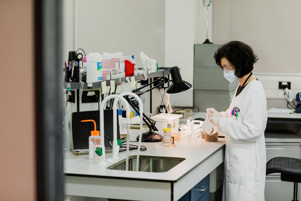 Covid-19 genome sequencing: ESR scientists work to streamline process ...