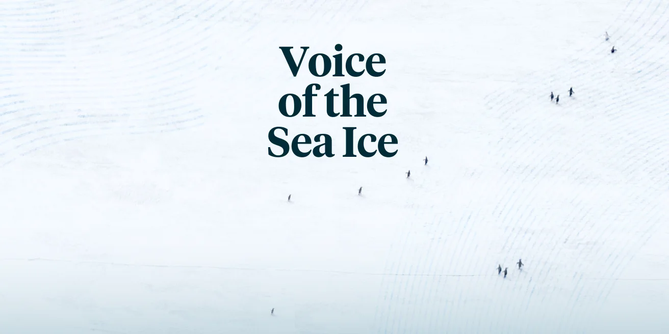 RNZ podcasts | Aotearoa's most compelling stories from Aotearoa's ...