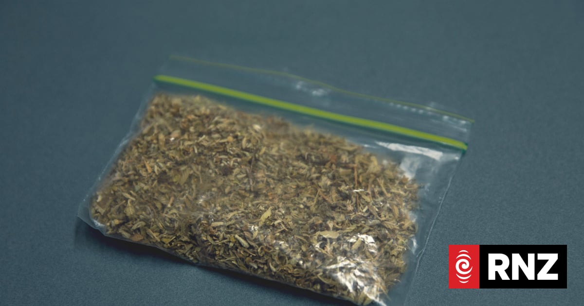 Synthetic cannabinoid alert system to be in place by end of year | RNZ