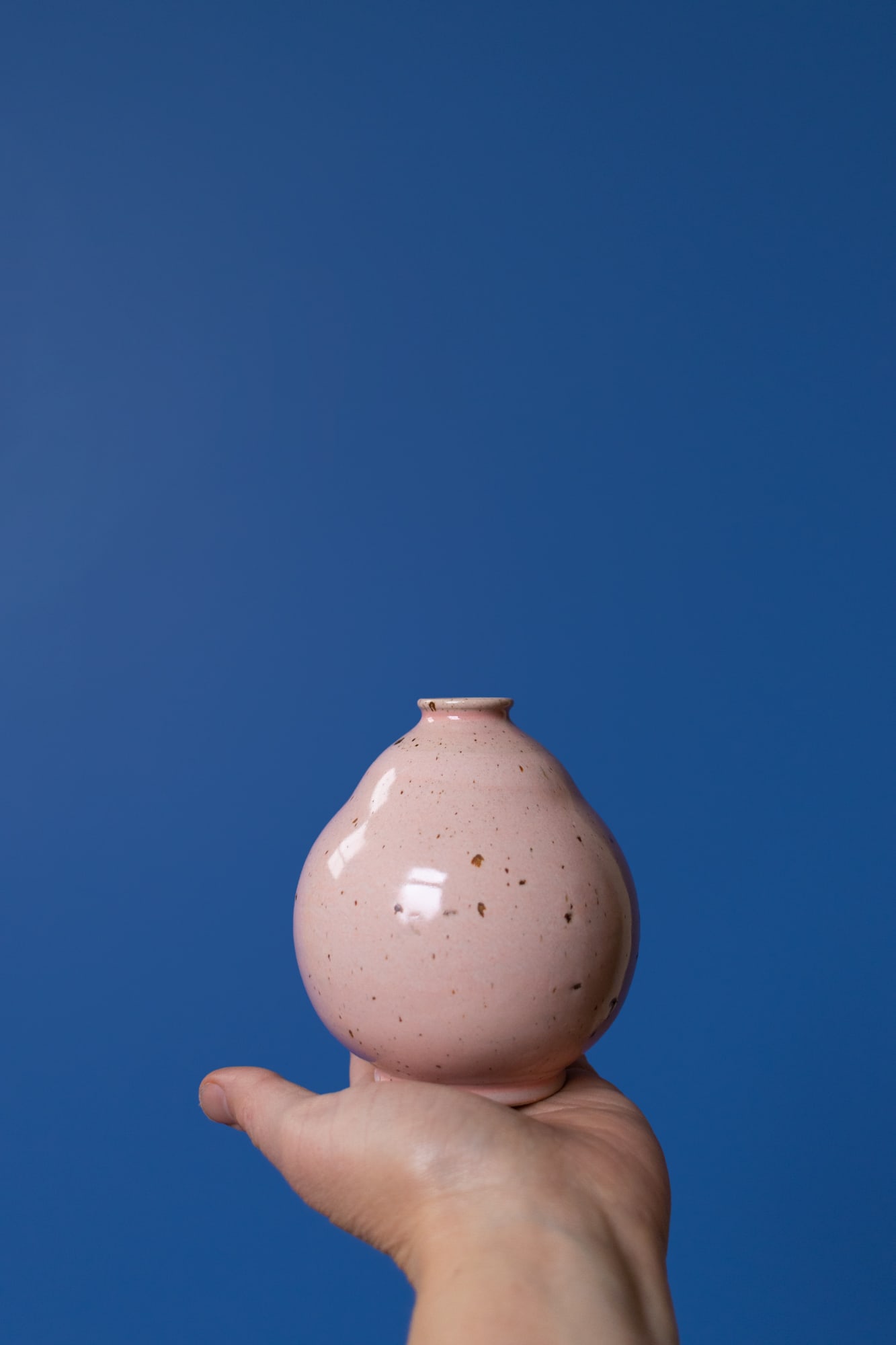 Nelson Clay Week - celebrating the region's potters | RNZ