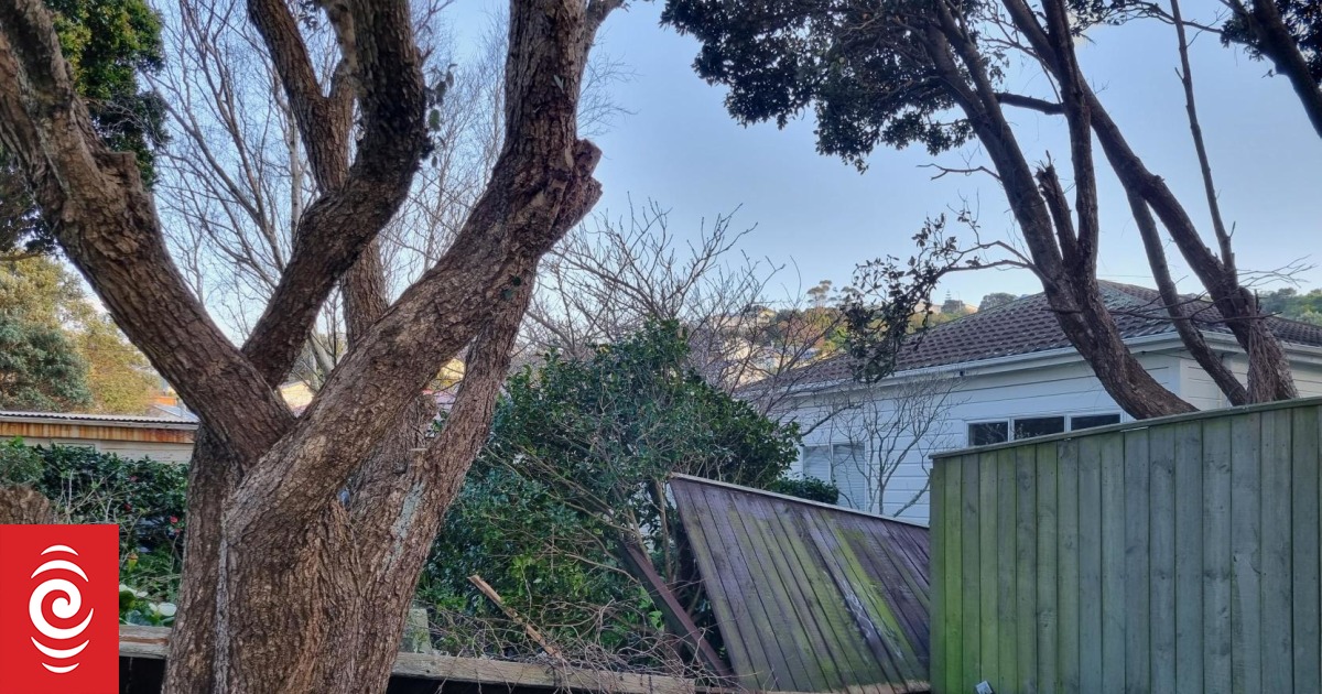 Midday Rural News for 18 September 2023 | RNZ