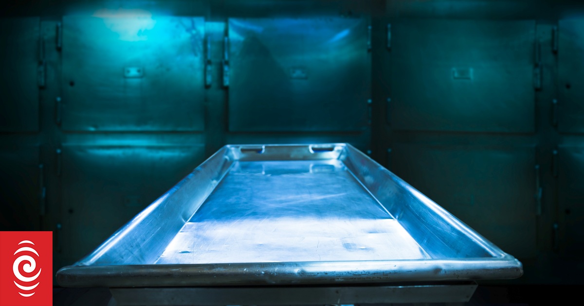 Forensic pathologist shared image of dissected human skull on social ...