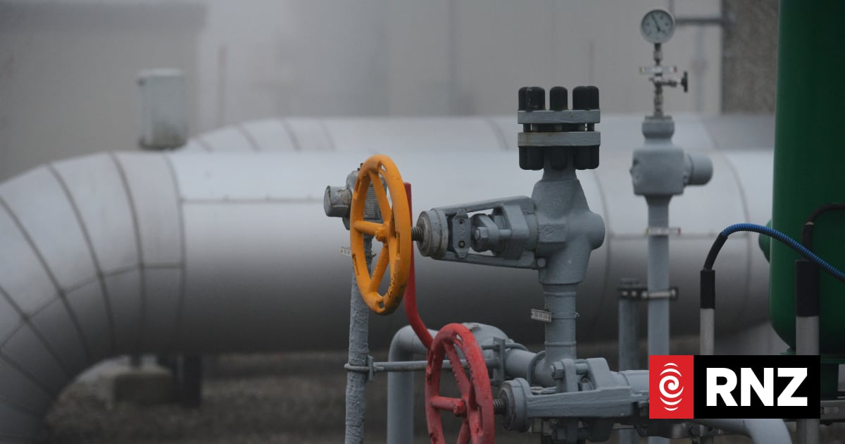 Organisations call on government to ditch LNG import terminal | RNZ