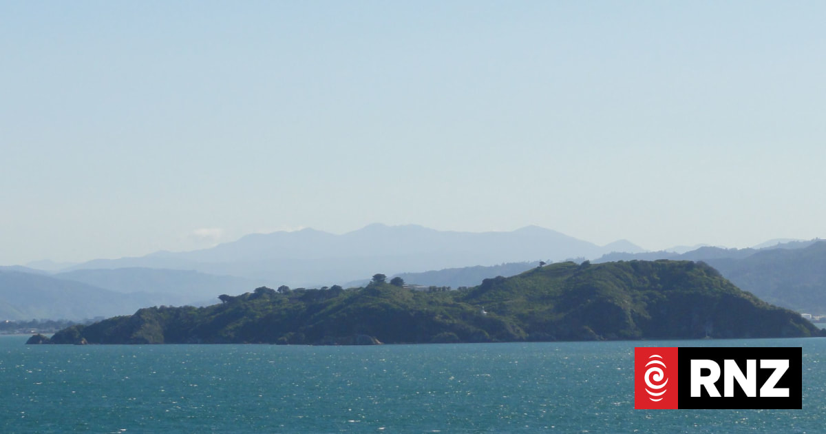 High fire risk on Matiu-Somes Island | RNZ