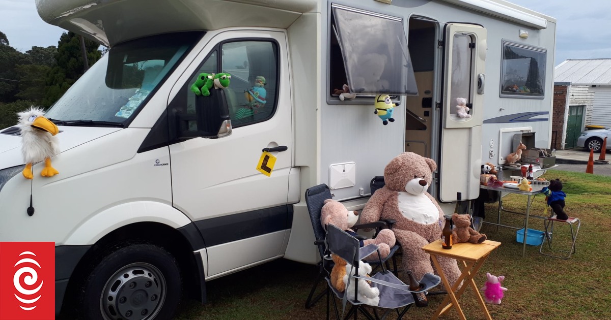 A new scene every day for Auckland family's teddy bears | RNZ