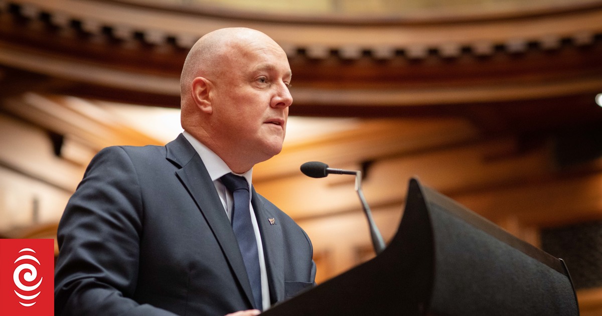 Political commentators Mills & Morten | RNZ