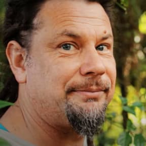 Helping native forests to slow down water | RNZ