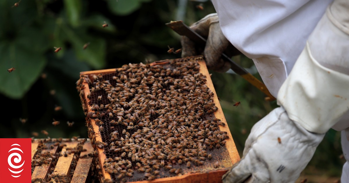 Legal opinion identifies nature-based risks as a looming challenge for ...