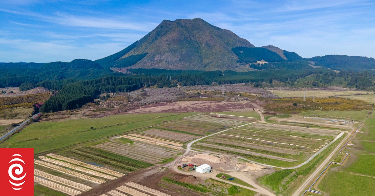 The town that has had a 'gutsful' of New Zealand’s biggest worm farm ...