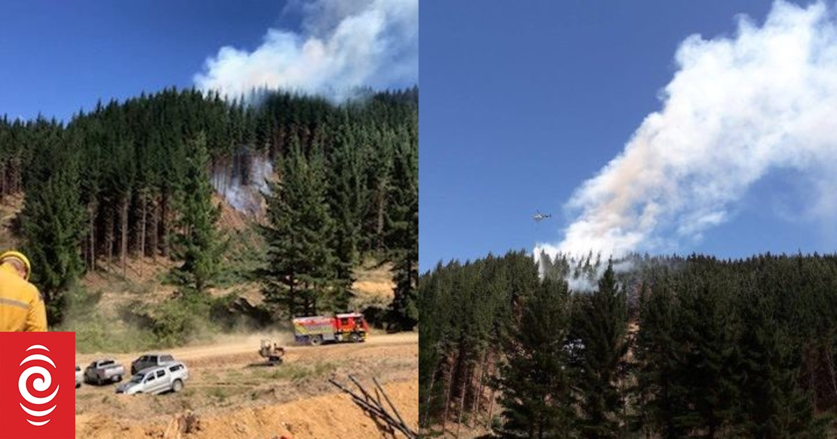 Forestry fire near Picton airport almost contained | RNZ News