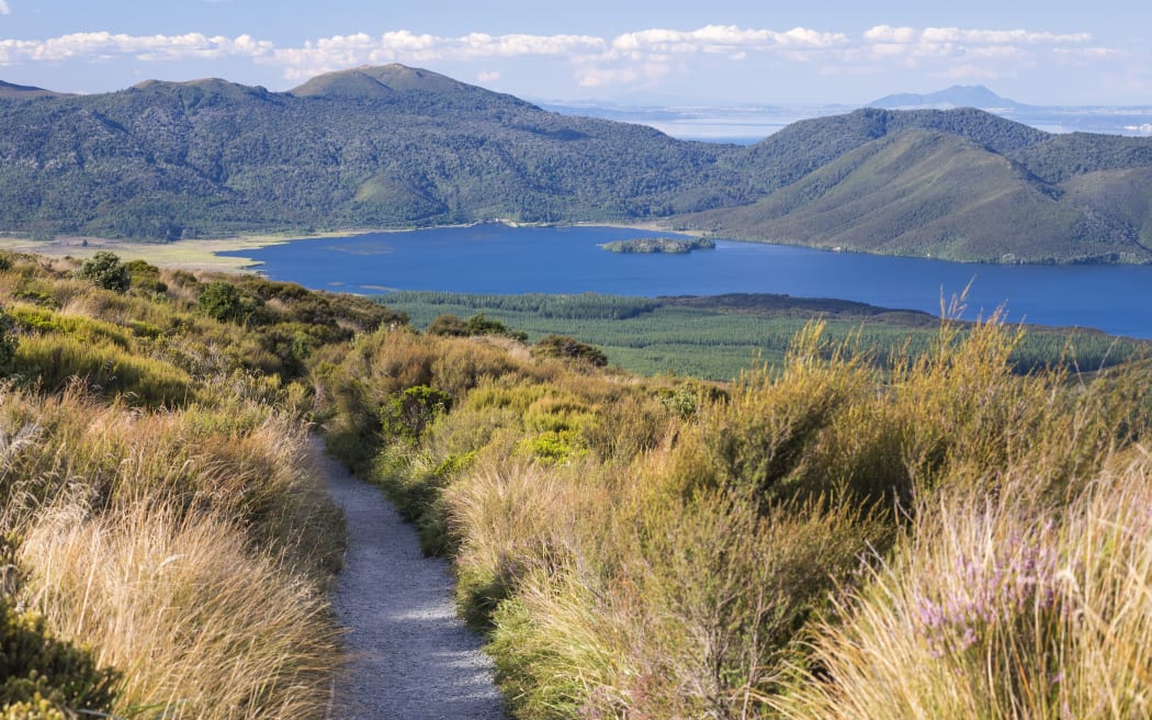 RNZ : National : Programmes : Nine To Noon