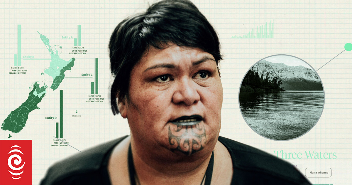 Three waters: What you need to know | RNZ News