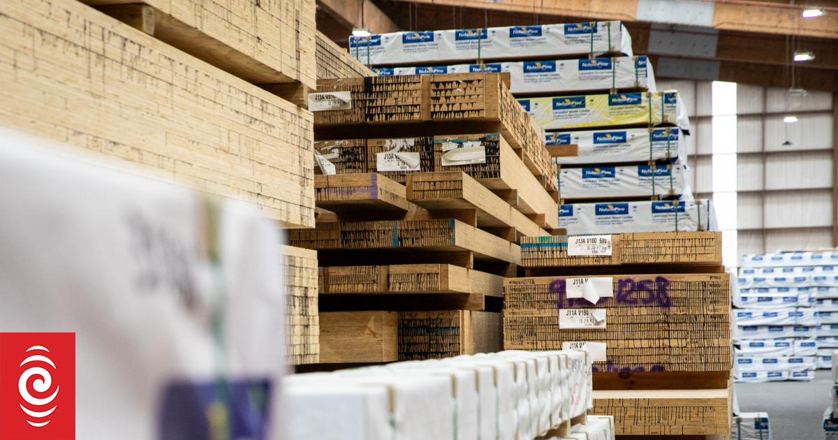 Business commentator Maria Slade | RNZ