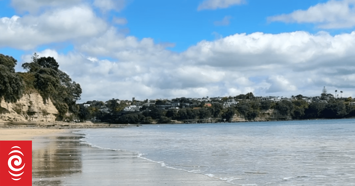 The dirtiest (and cleanest) beaches in Auckland | RNZ News
