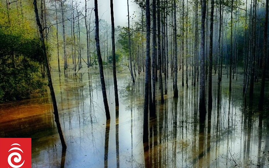 Still Alive: A Survivor's Story - Part 5 | RNZ