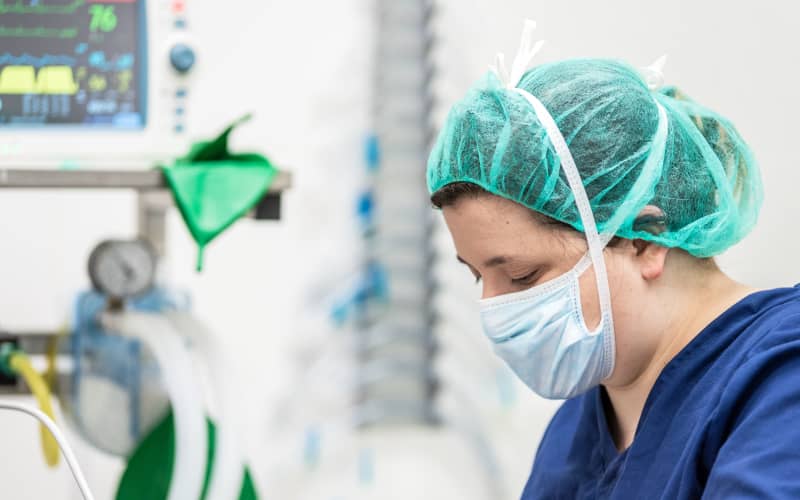 Can AI help doctors save patients on life support? | RNZ