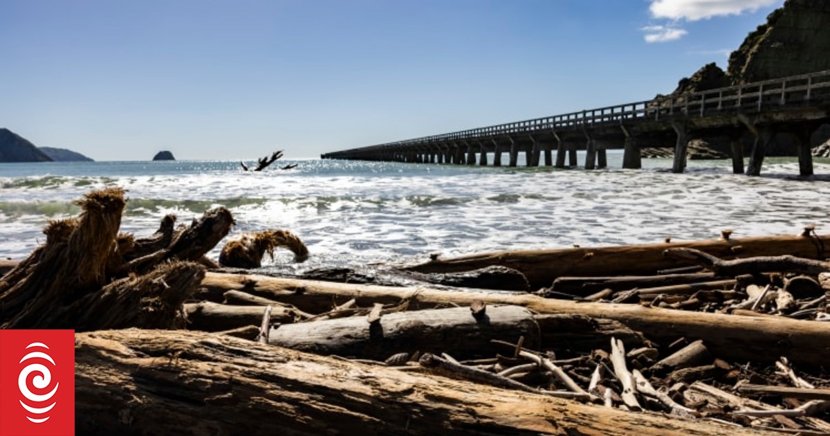 No money to clean up Hawkes Bay beach still covered in slash | RNZ