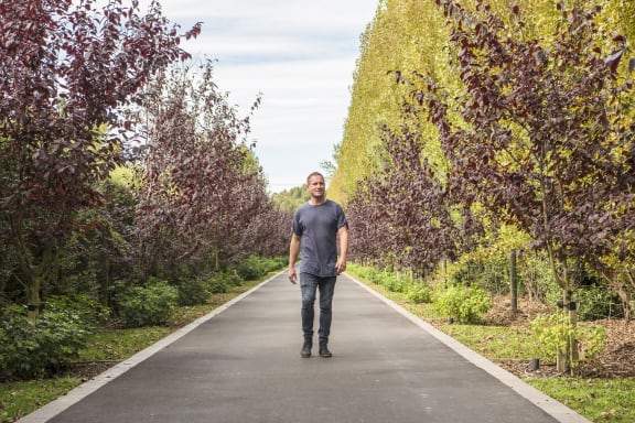 Andy Ellis and the Kiwi Back Yard | A Gallery from Sunday Morning | RNZ ...