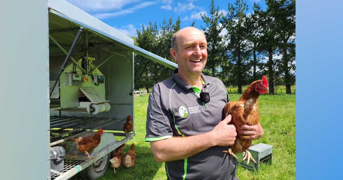 Country Life for Friday 15 December 2023 Country Life | RNZ