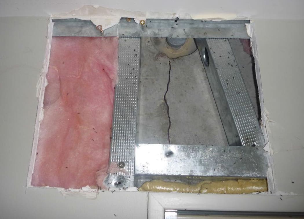 Apartment building defects worsening housing woes | RNZ News