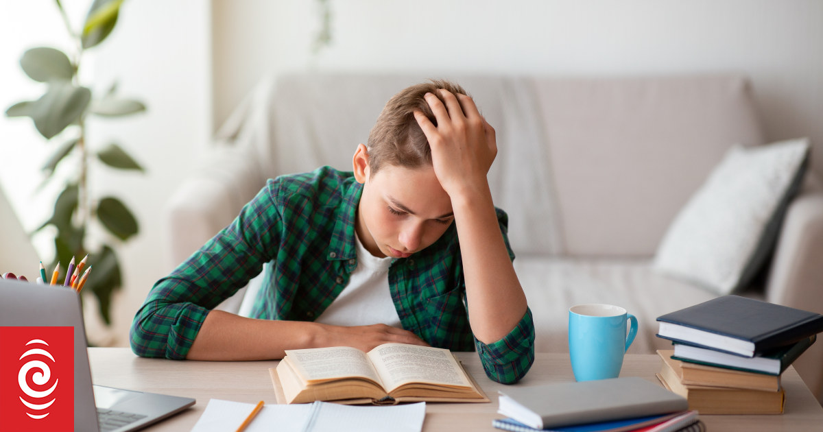 Student stress 'heartbreaking' as exams loom | RNZ News