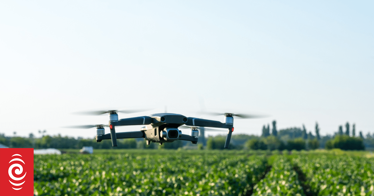 Drone operators call for CAA to speed up certfications process | RNZ News
