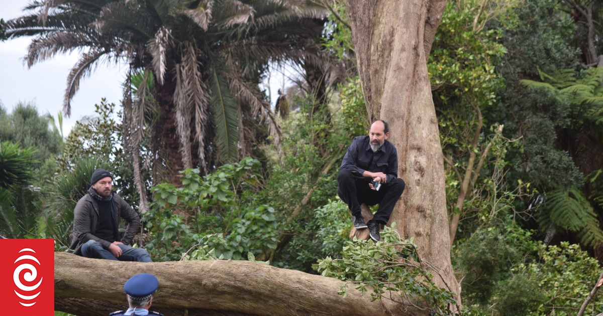 Green Party candidate Steve Abel arrested during tree felling protest ...