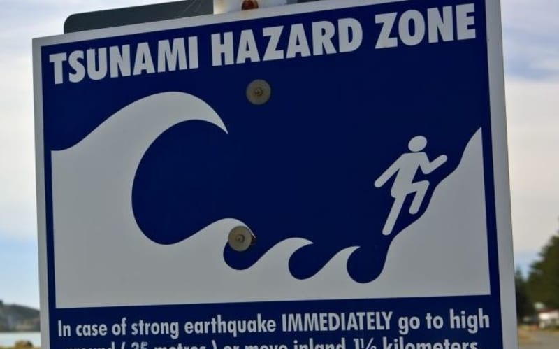 There was never a risk of a tsunami, says seismologist | RNZ